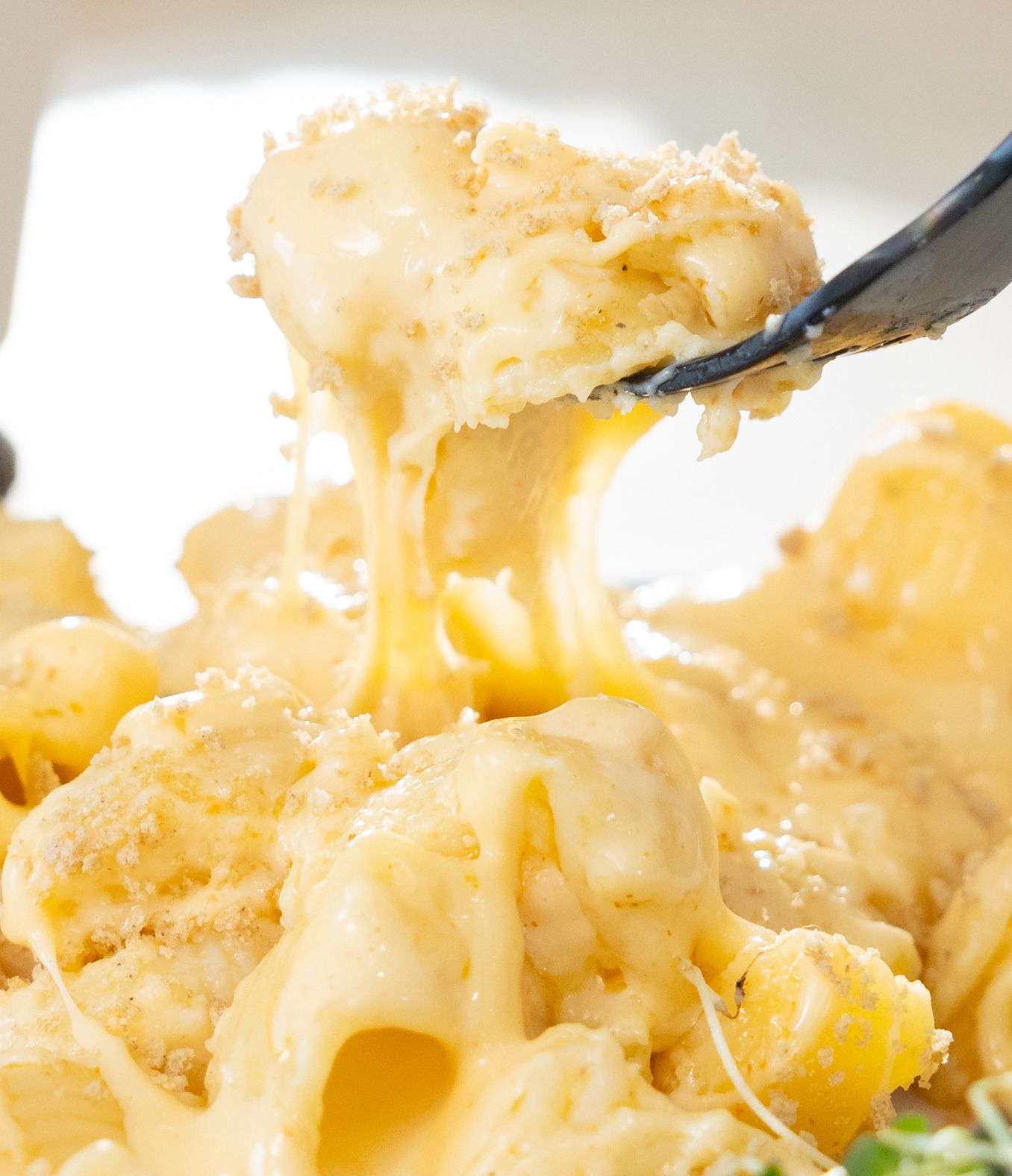 Homemade Mac and Cheese with Spicy Cheddar with Organic Valley