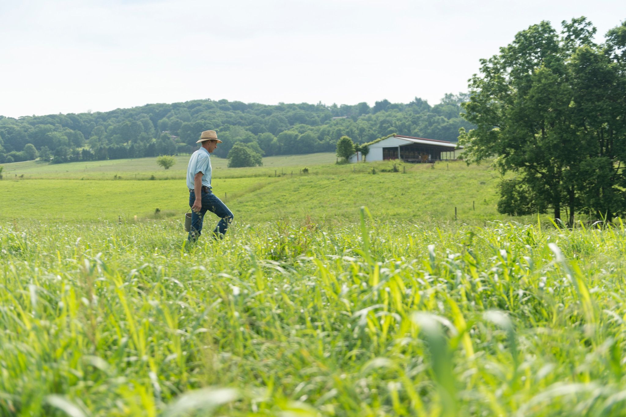 Rootstock | 400,000 Acres and Counting. How Many Organic Valley Acres ...