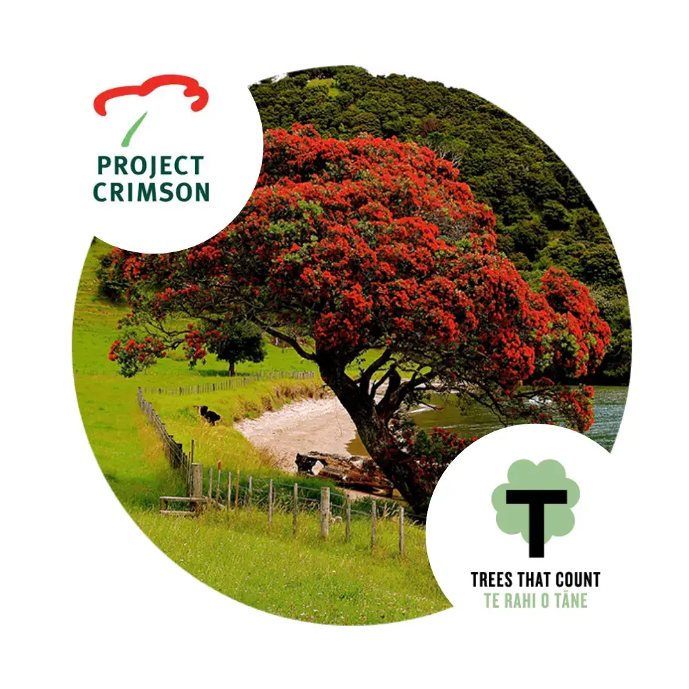 Project Crimson Trust | Trees That Count