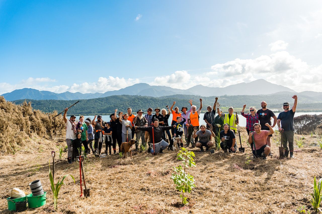 More than 100,000 trees to be planted as part of Coronation ...