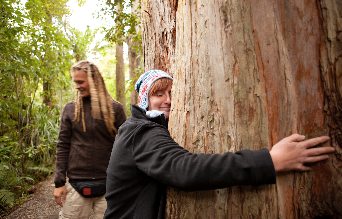 New Zealand planting Forest of Hope | Trees That Count