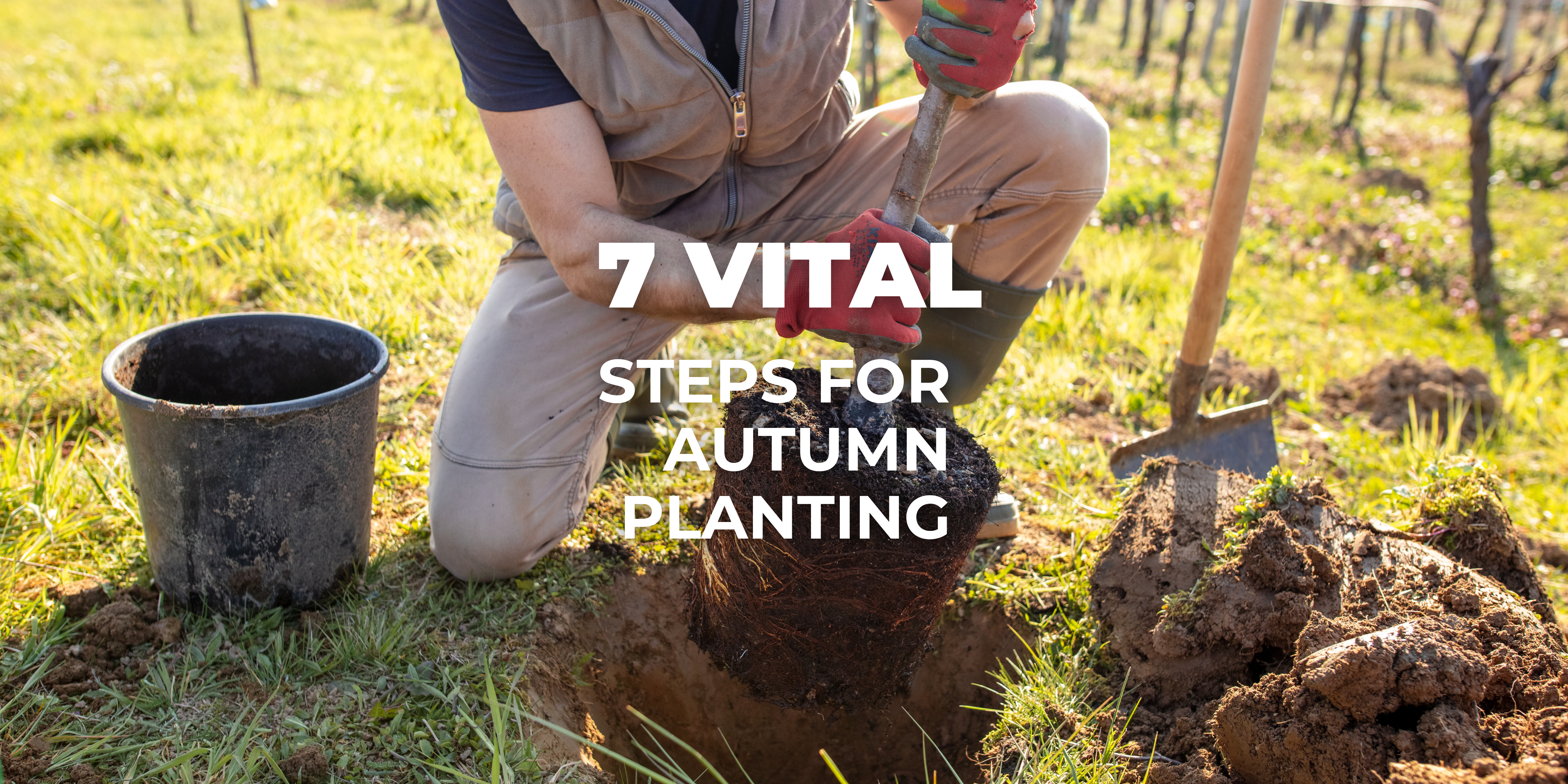 7 steps for NZ autumn planting | Trees That Count