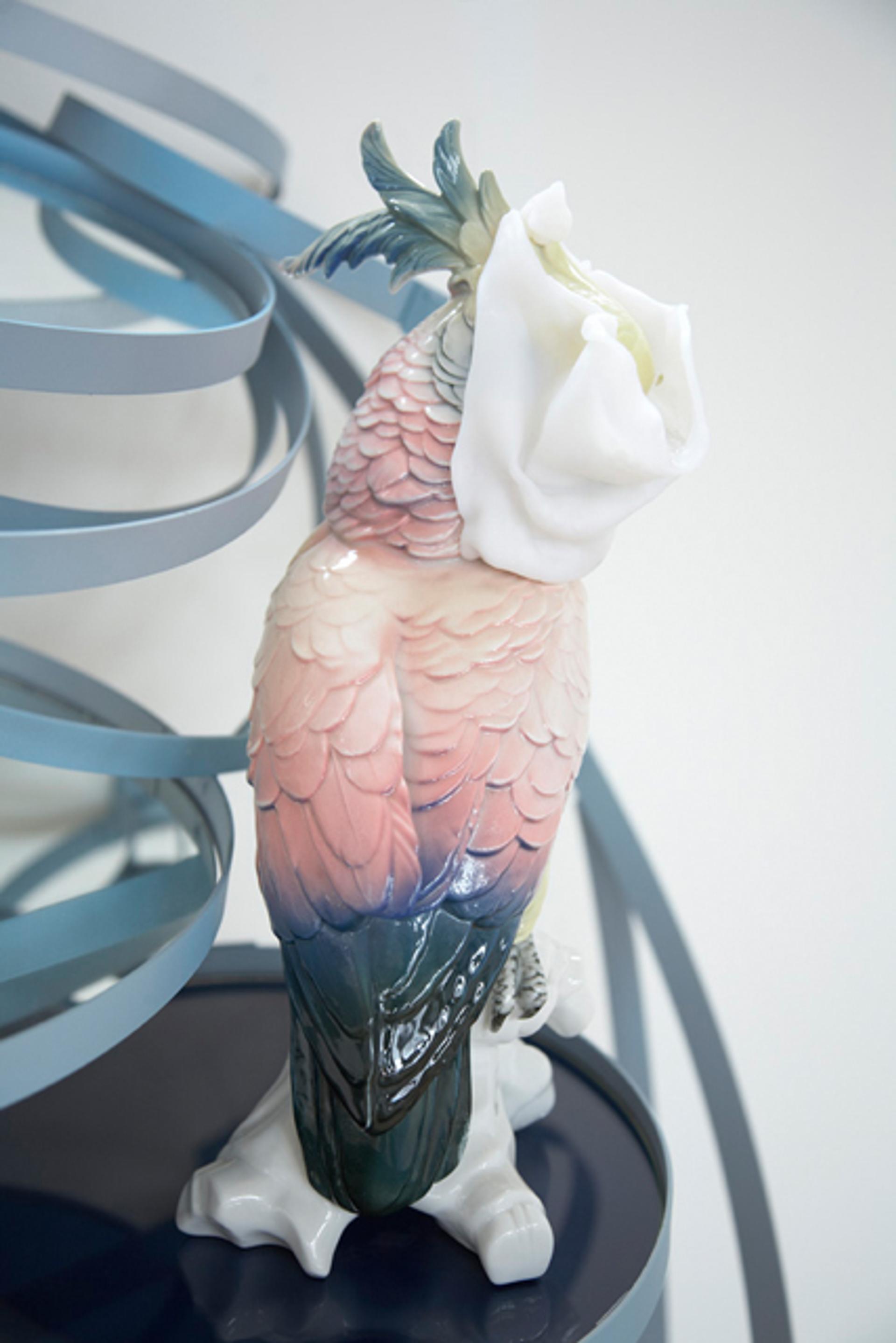 Nests – Ruth Claxton