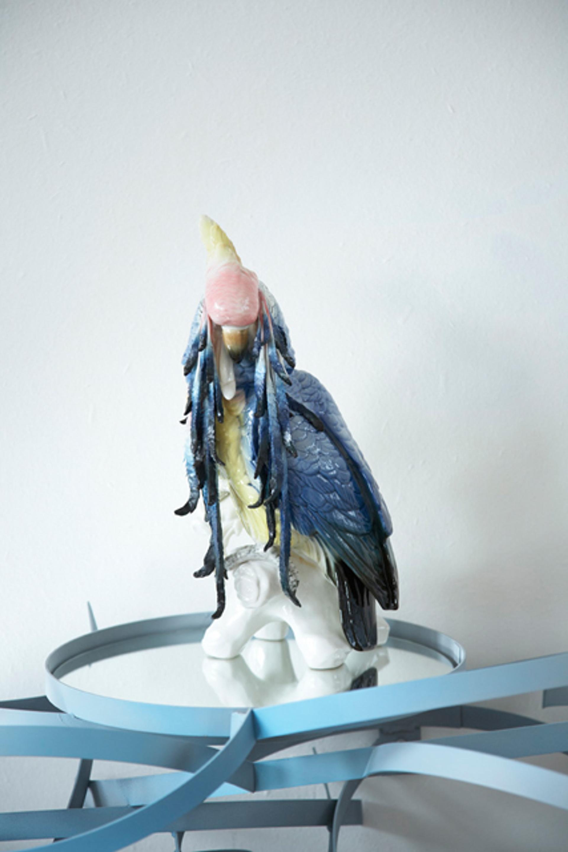 Nests – Ruth Claxton