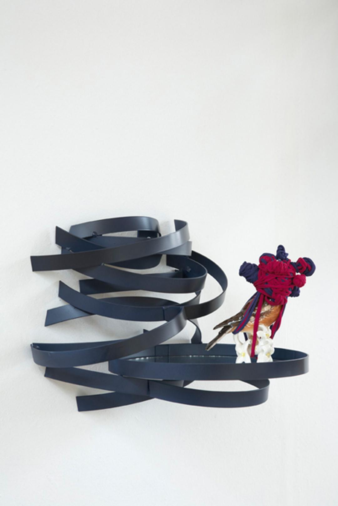 Nests – Ruth Claxton