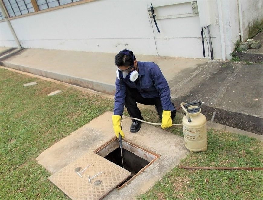 Cockroach Control - Anticimex