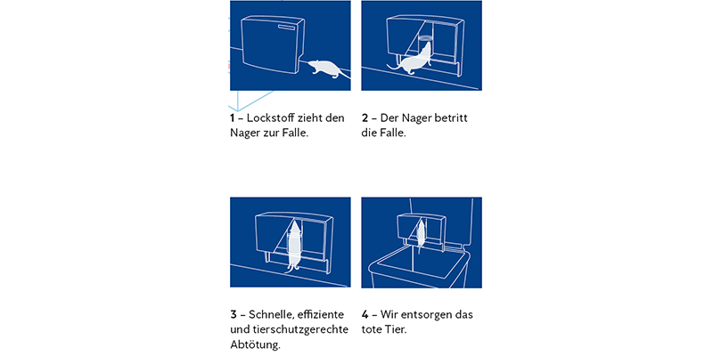 Anticimex Smart Catch - effiziente Schlagfalle - Anticimex