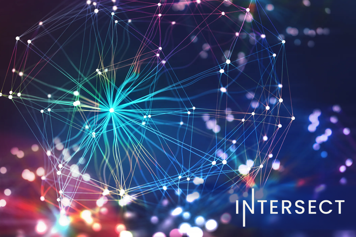 Intersect Development Update #4 - March 8th