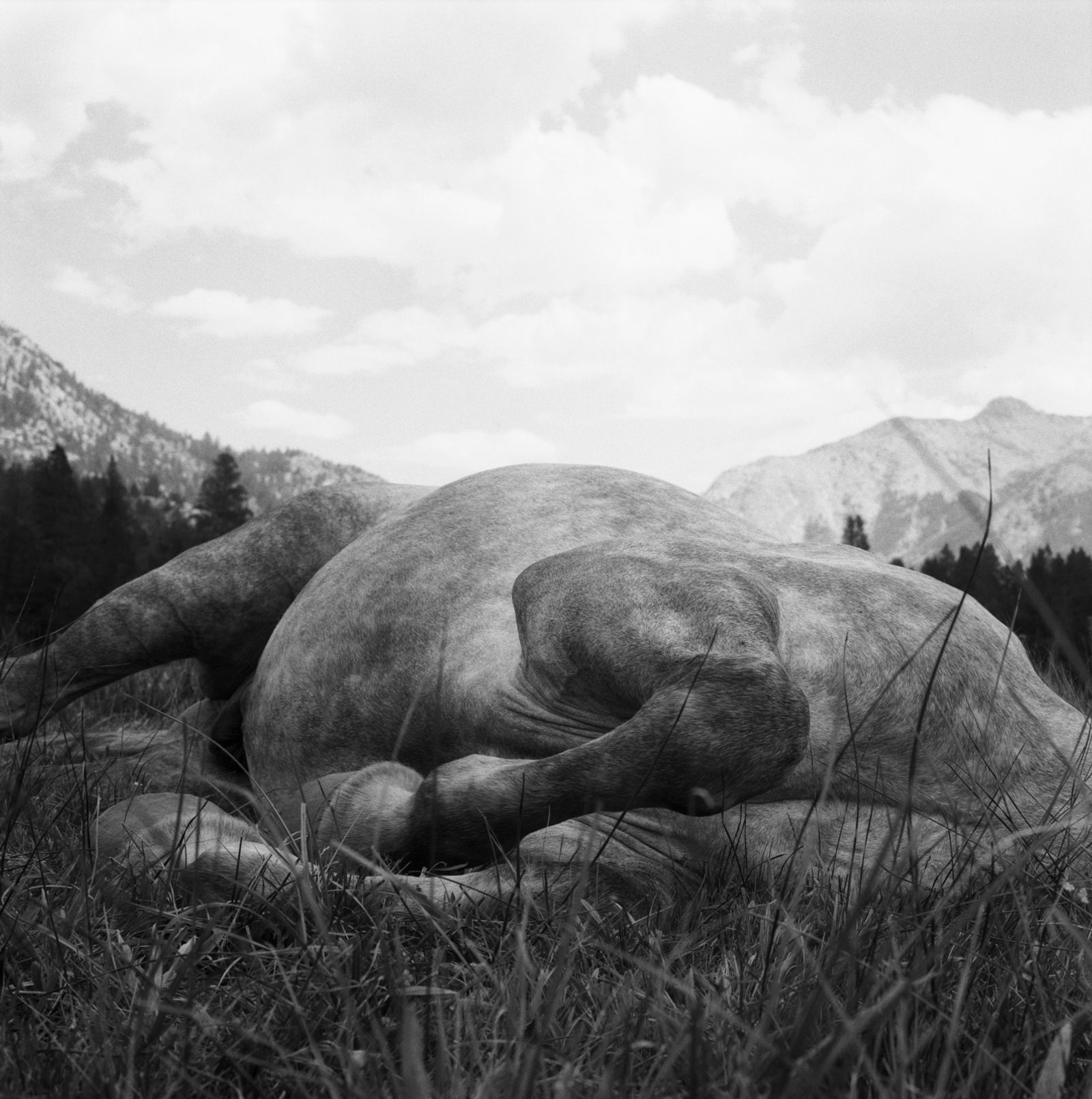 Mimi Plumb | Megalith-Still, 1995-2005