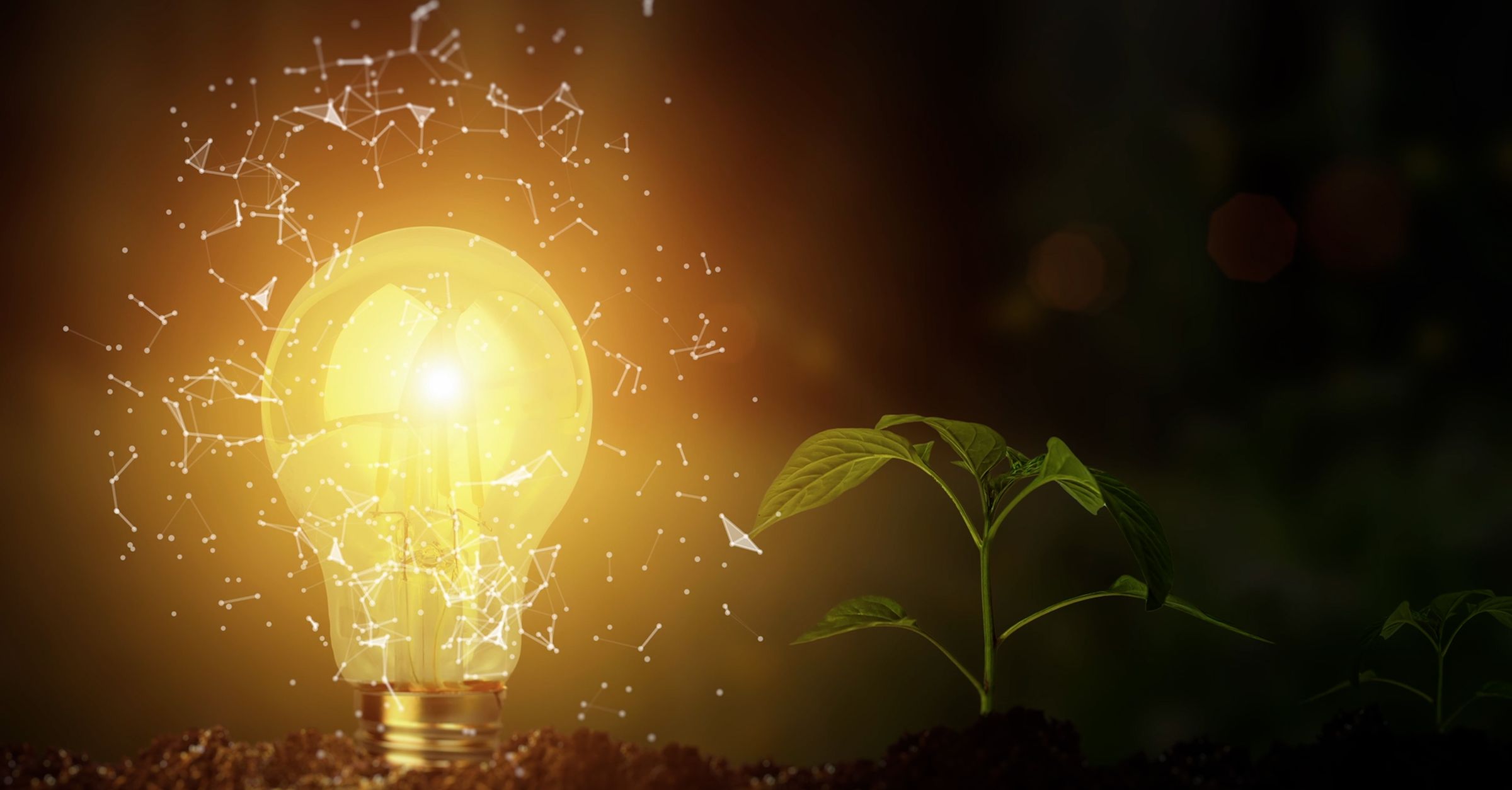 Utforsk mulighetene for en bedre fremtid