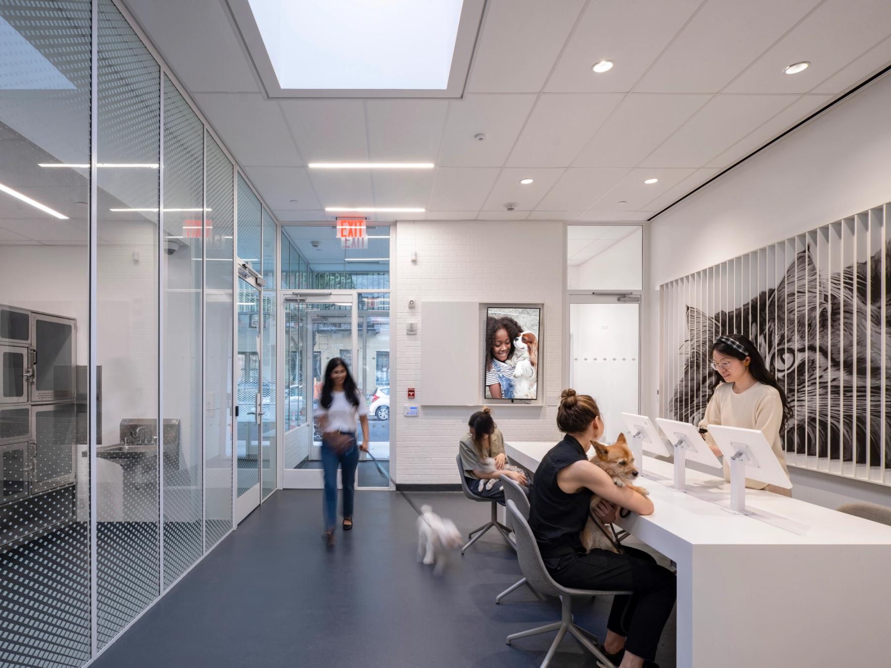 Manhattan Pet Adoption Center | Architecture by Studio Joseph