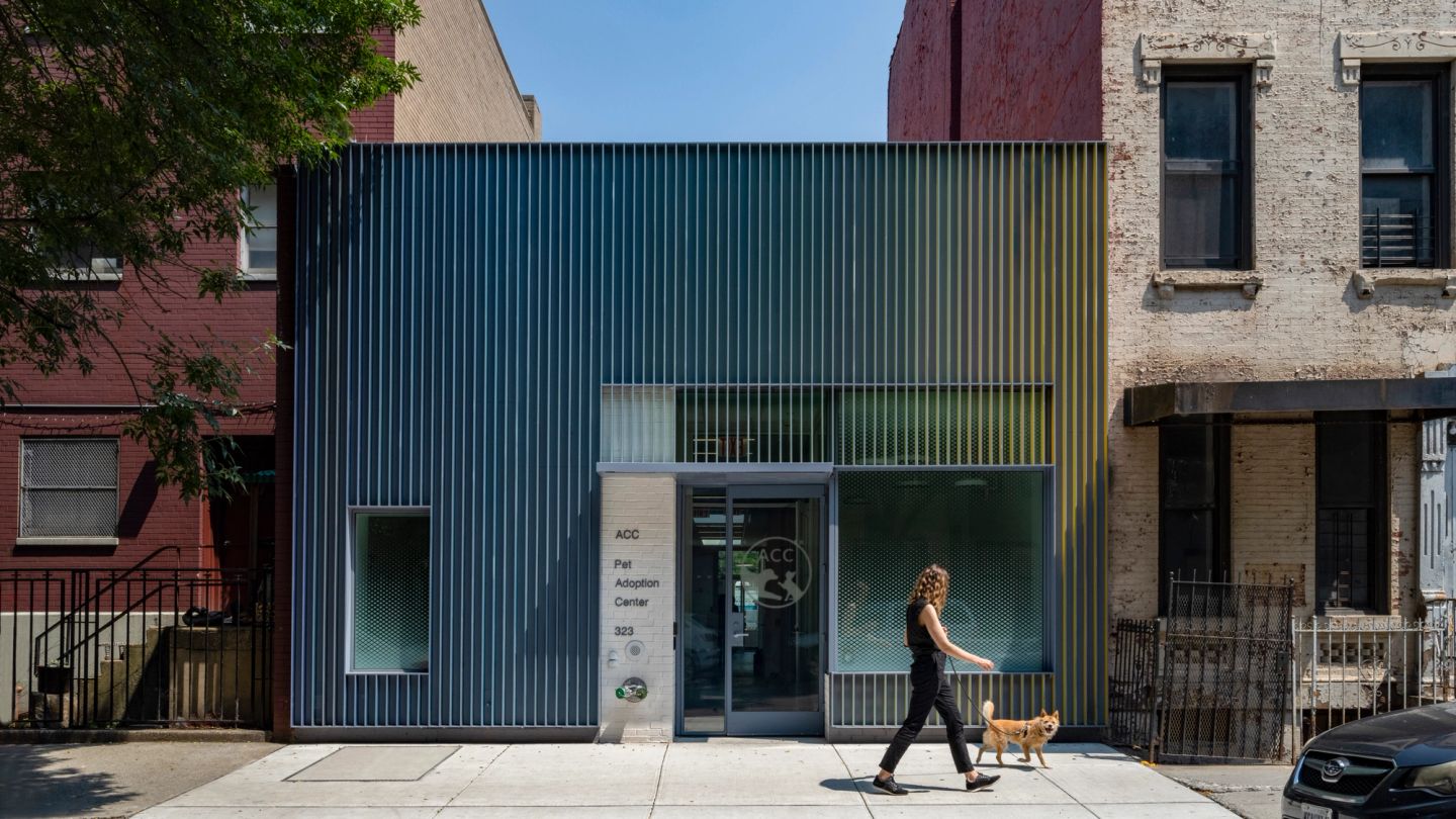 Brooklyn Children's Museum Auditorium | Interior Architecture by Studio ...
