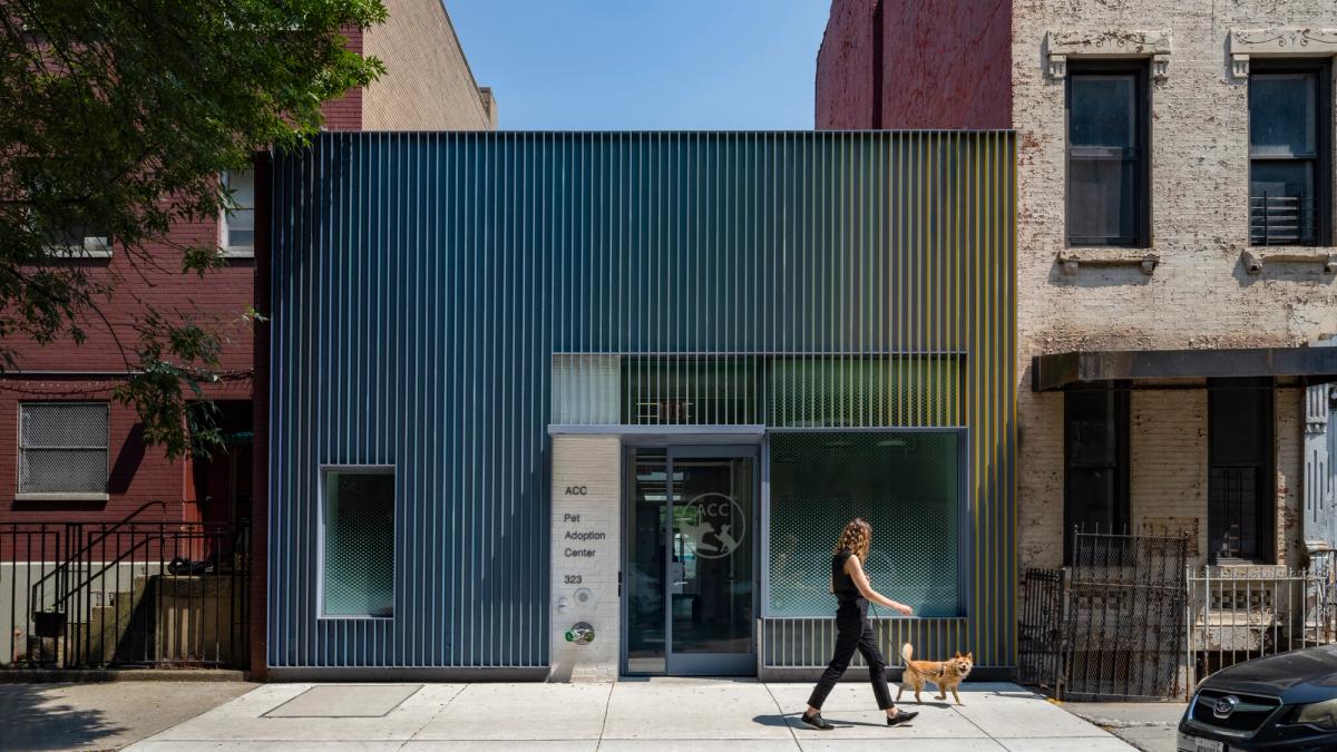 Manhattan Pet Adoption Center | Architecture by Studio Joseph