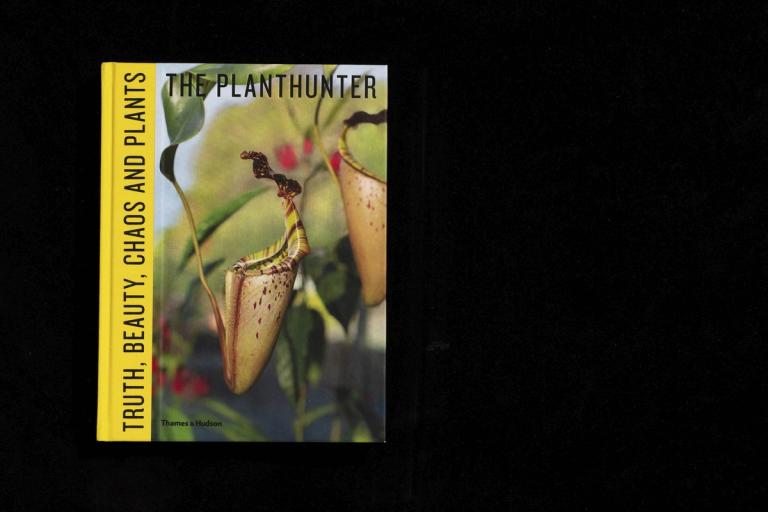 Planthunter | Evi-O.Studio