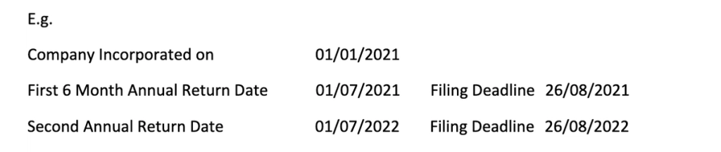 Filing Your Annual Return Form B1 and What to Look Out For