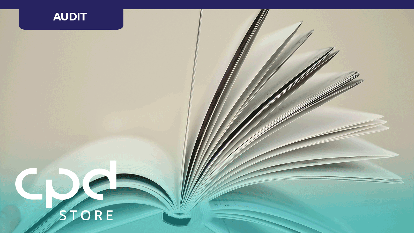 How to Prepare for Your Monitoring Visit