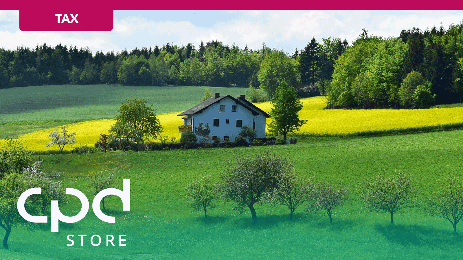 Understanding the Vacant Homes Tax (VHT) and Its Exemptions