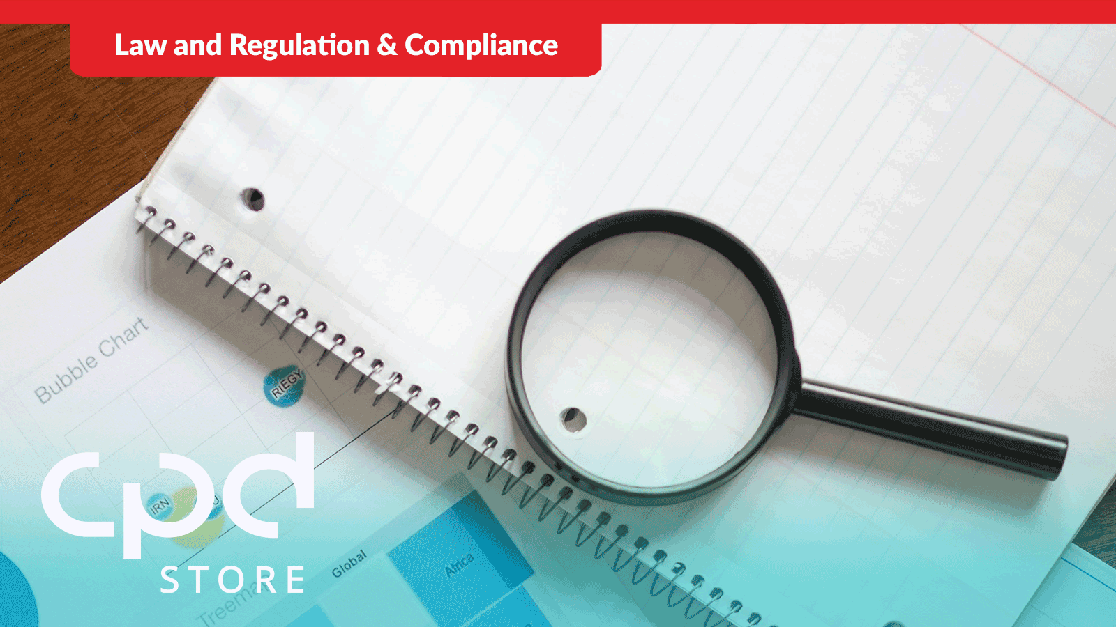 Forensic Accounting vs Auditing: What is the Difference?