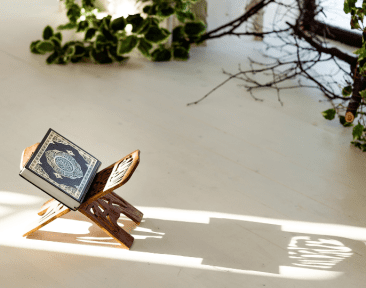Sacred Words - The Divine Power Of Spiritual Language & Religion Texts