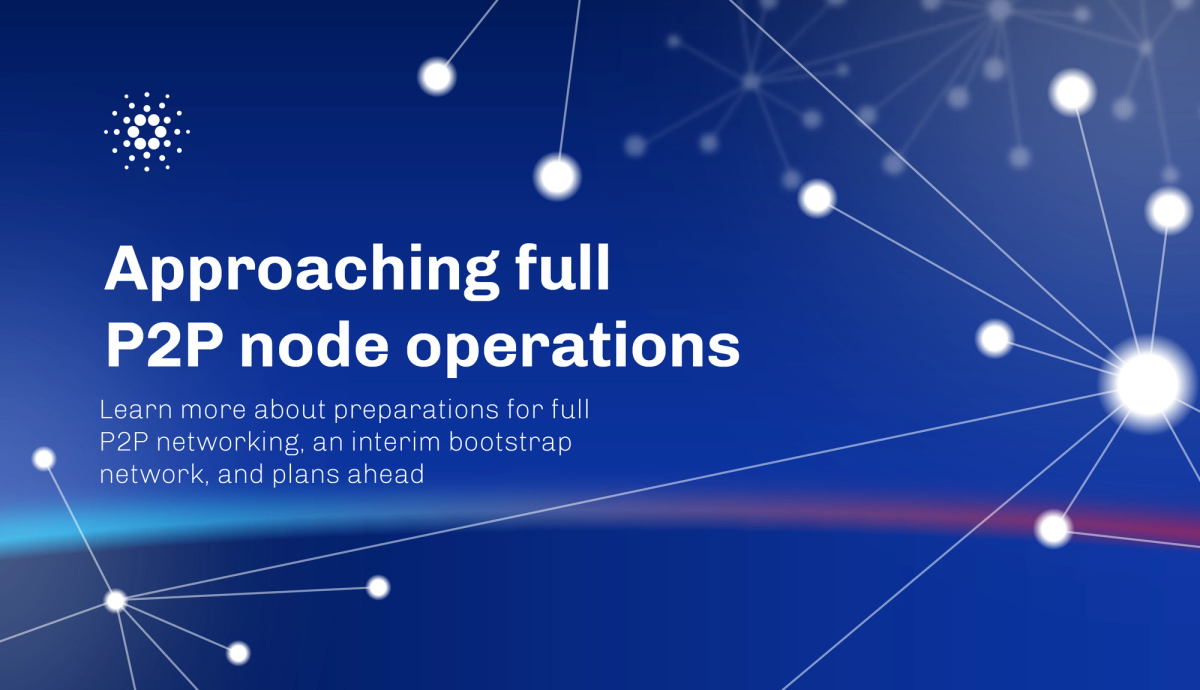 Approaching full P2P node operations - Input | Output