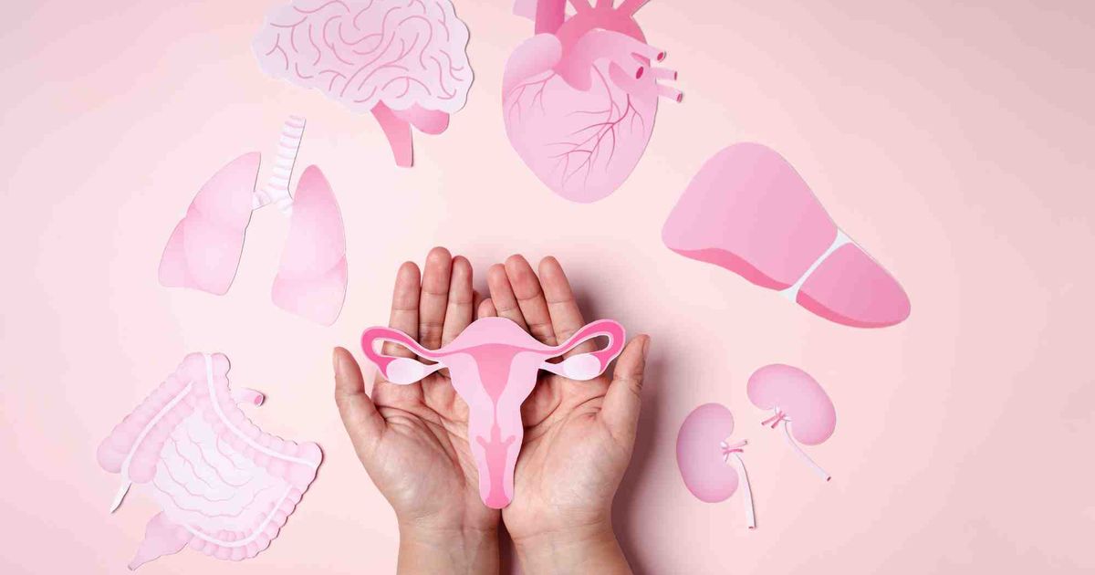 Dr.Dropin | Hvor mye koster det å gå til gynekolog? Se våre priser