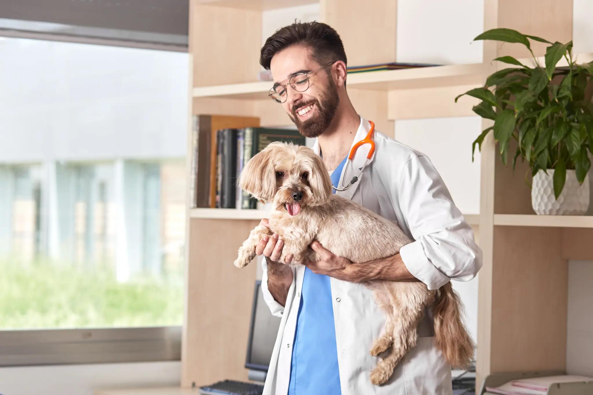 Ceguera en perros: evaluación clínica
