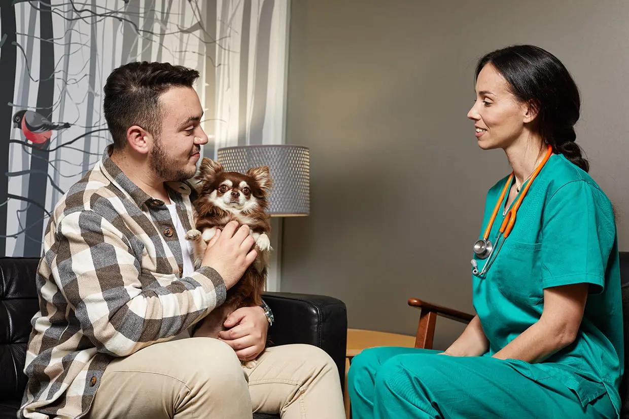 Nutrición veterinaria: ¿por qué ciertas enfermedades necesitan ...