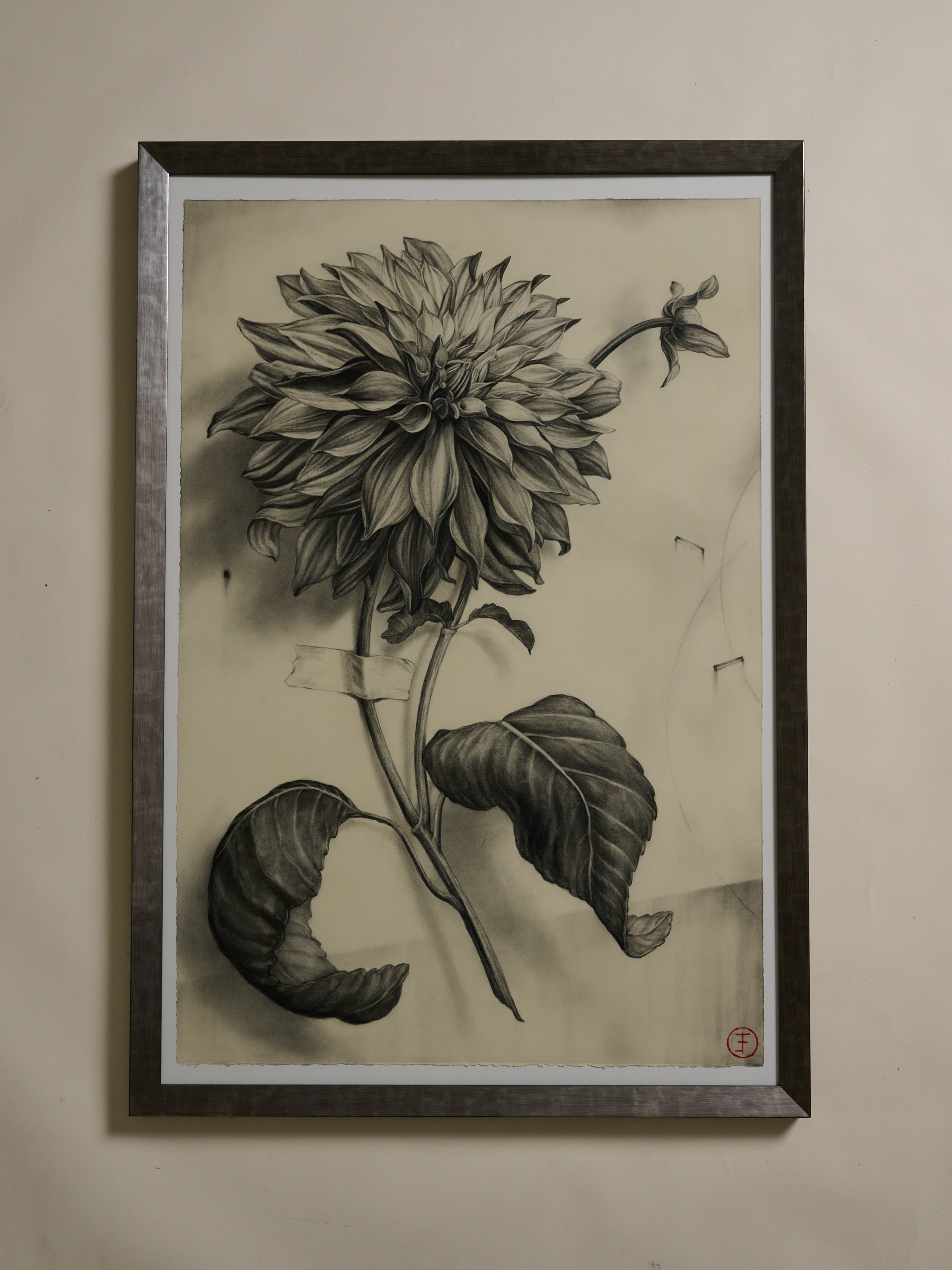 Dahlia, Two Buds, Emily Farish | Ken Fulk