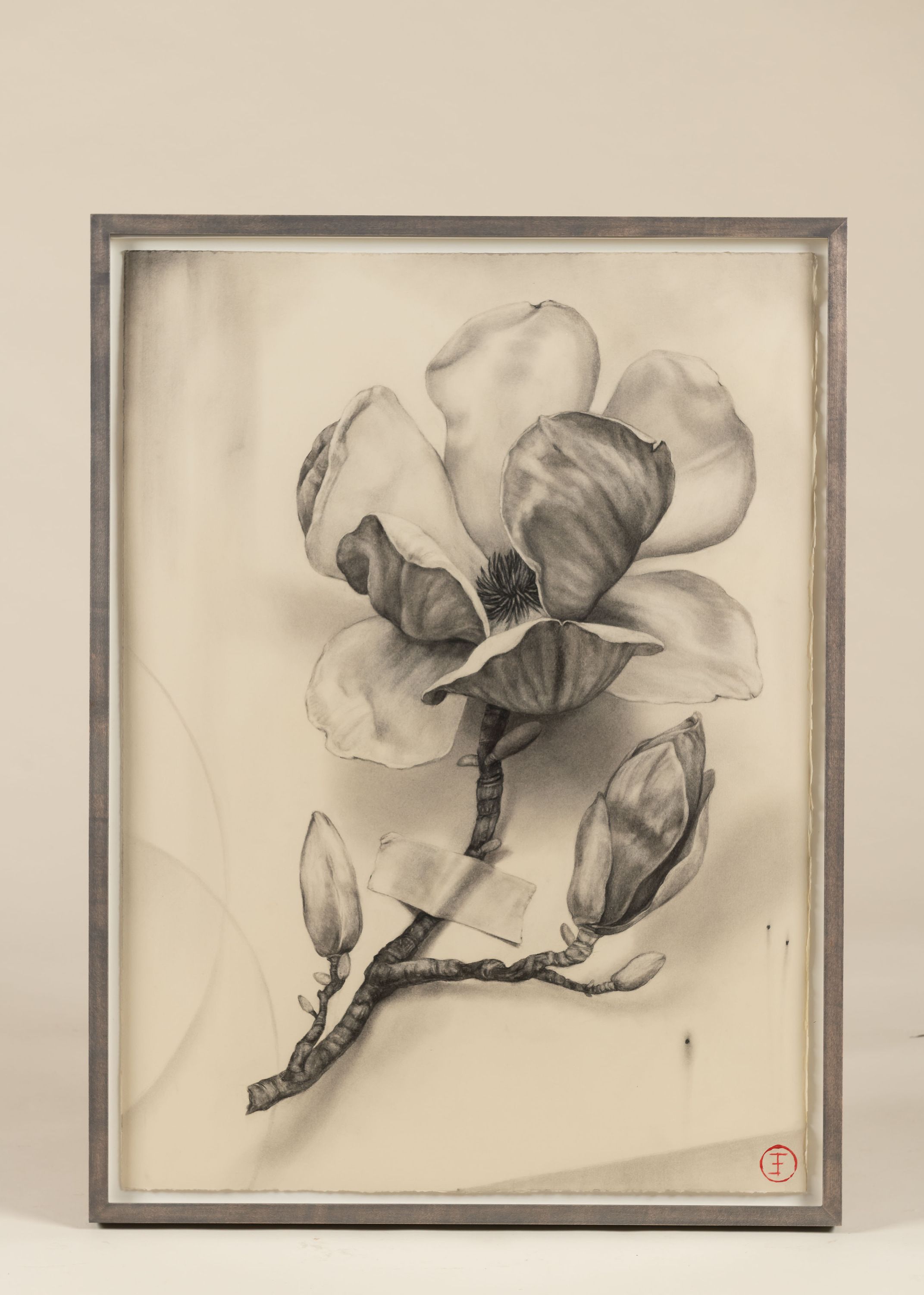 Chinese Magnolia with Three Buds, Emily Farish | Ken Fulk