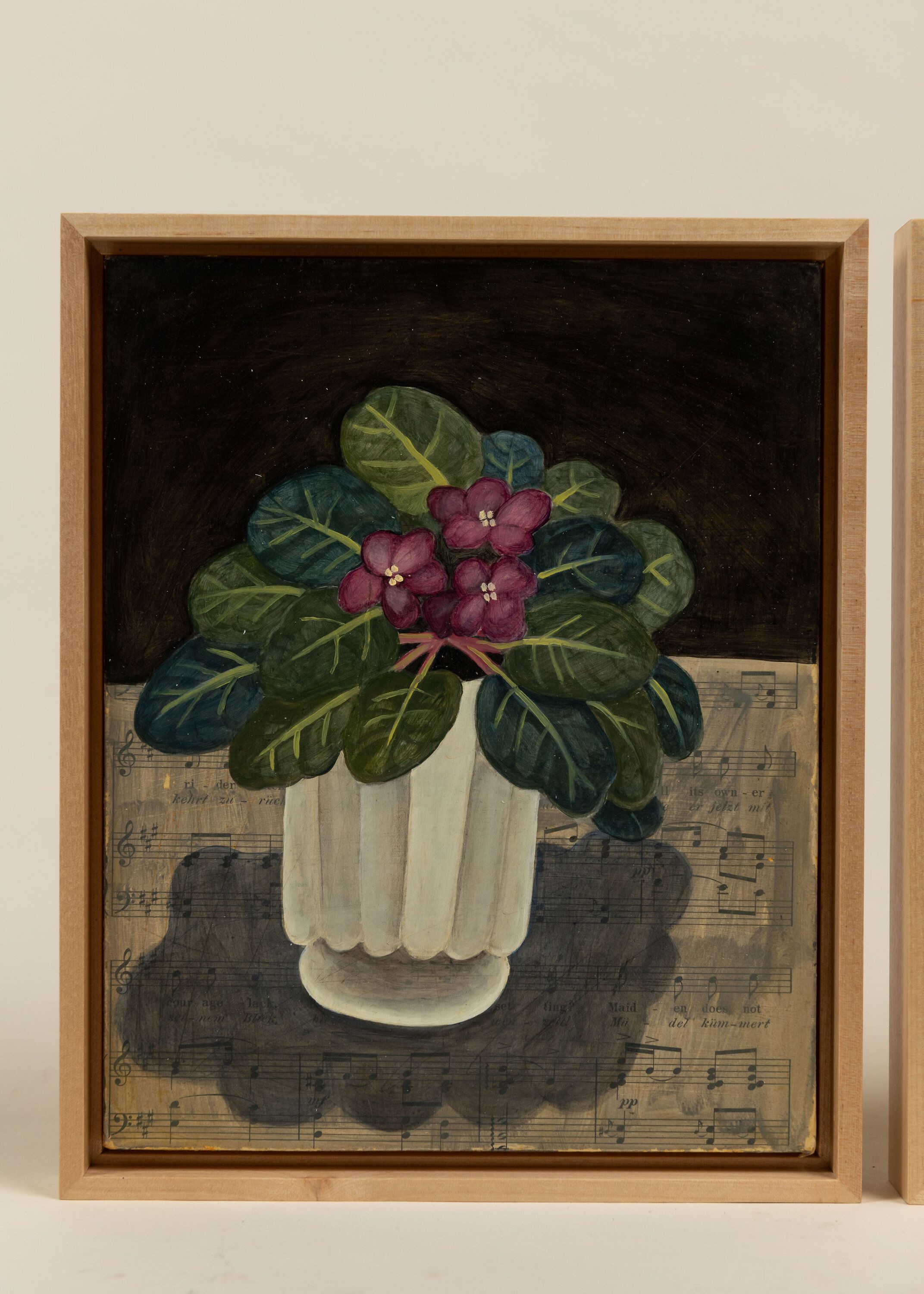 Honest African Violet, Daphne Confar | Ken Fulk