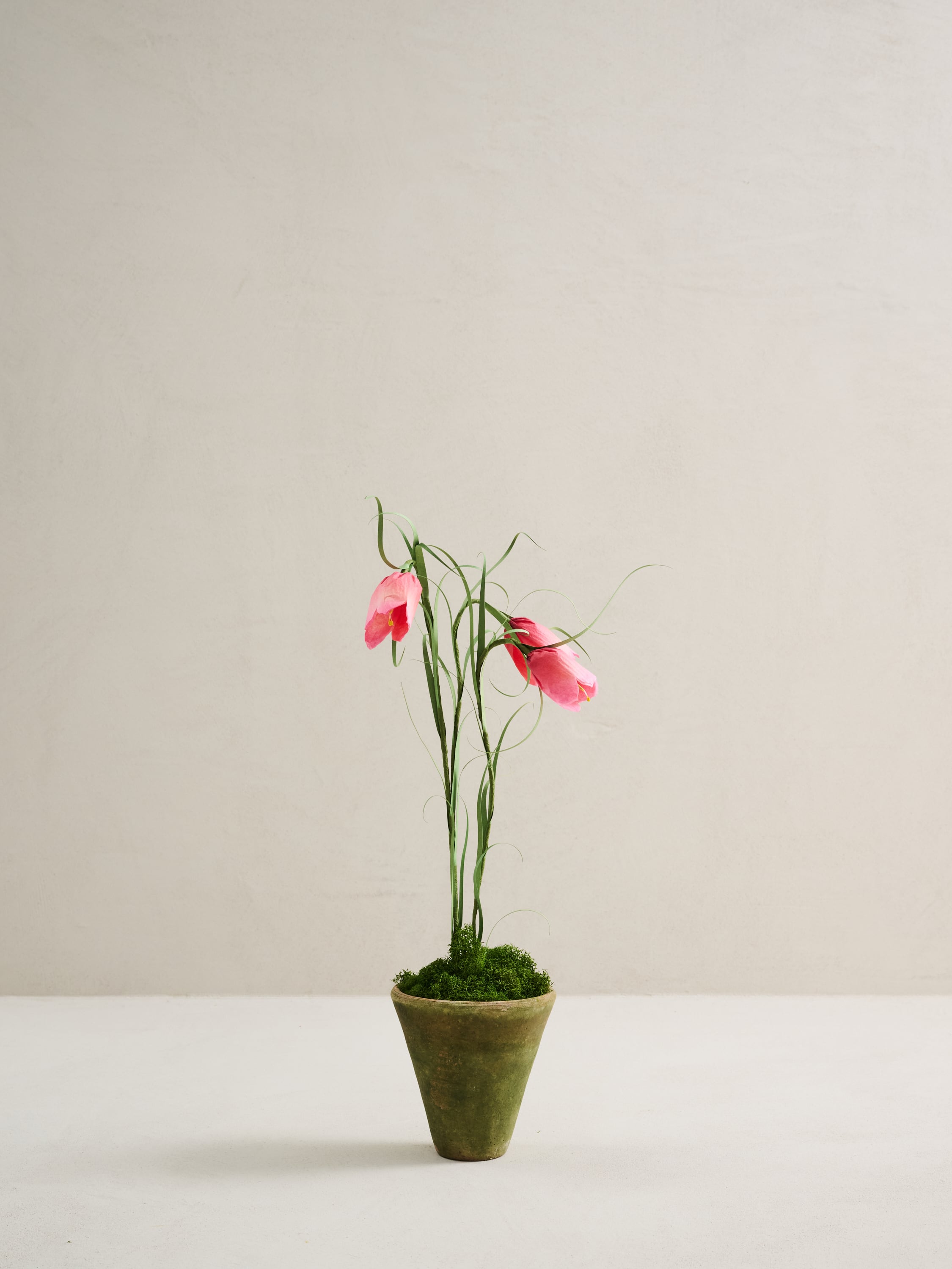 Potted Paper Fritillaria by Livia Cetti | Ken Fulk