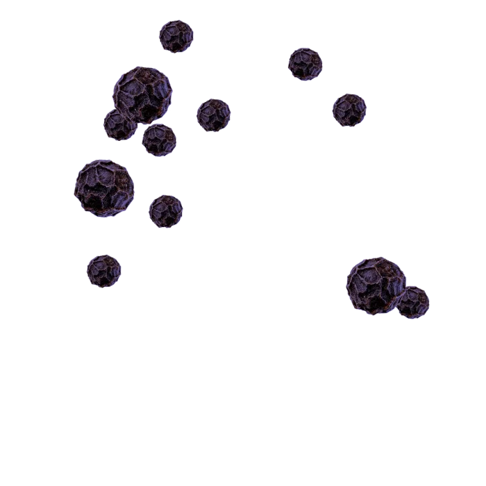 The Traveller - October 2022 - Red | Ourglass