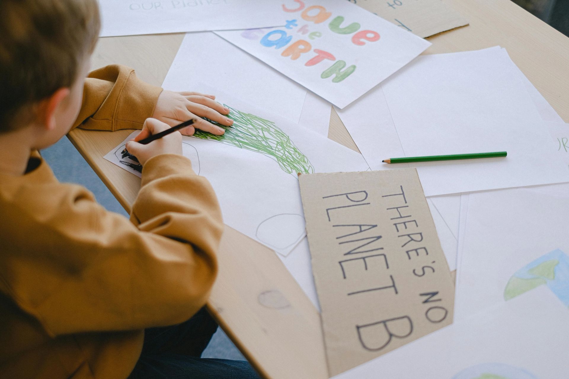 Why Early Education on Sustainability Matters