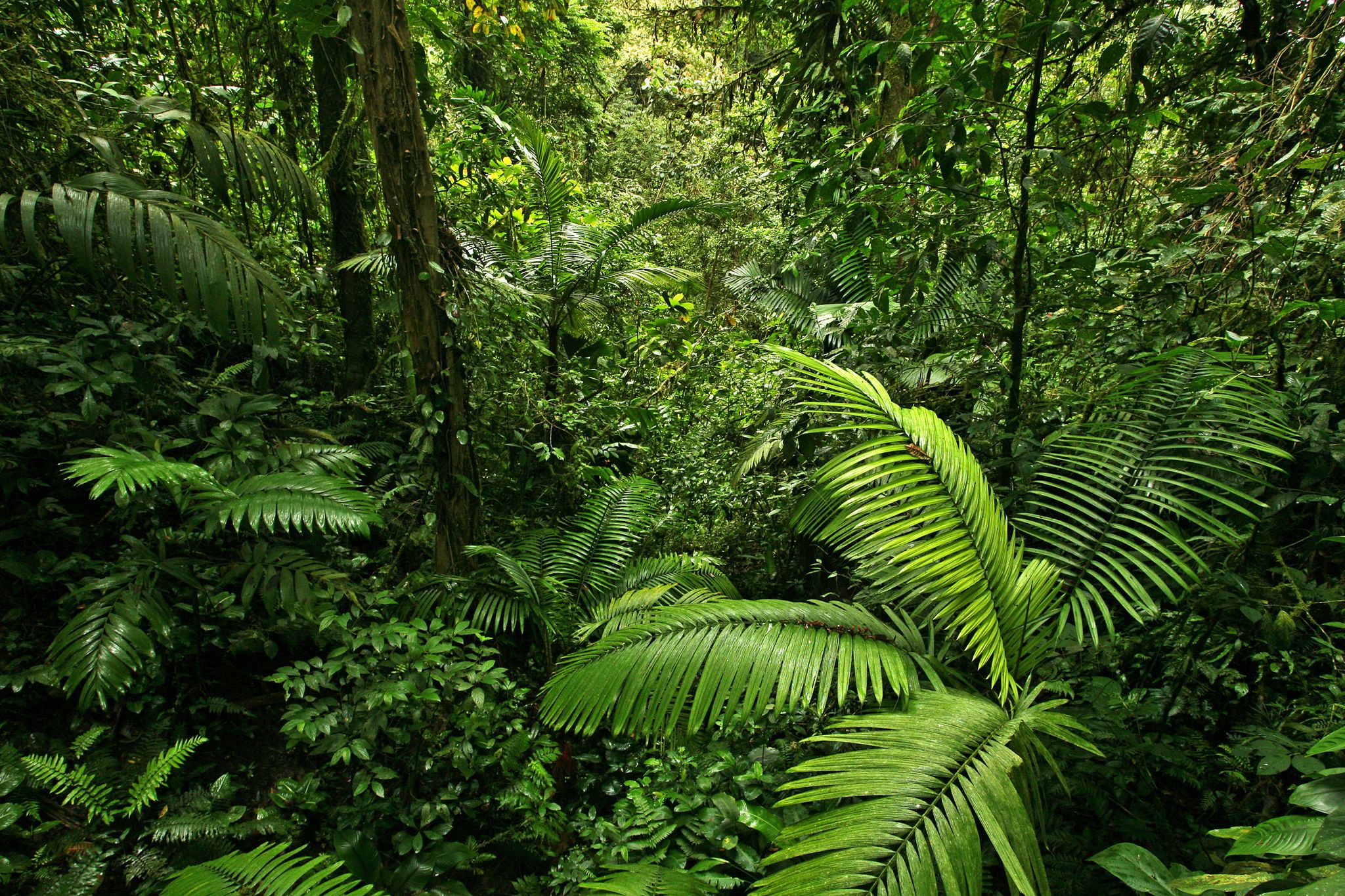 Costa Rica real estate | Ecological & Sustainable | La Ecovilla