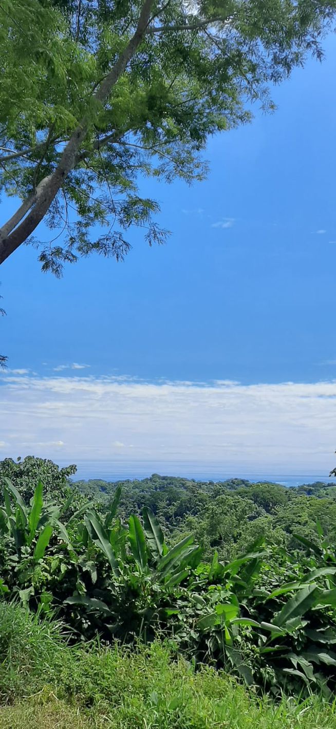 Costa Rica real estate | Ecological & Sustainable | La Ecovilla