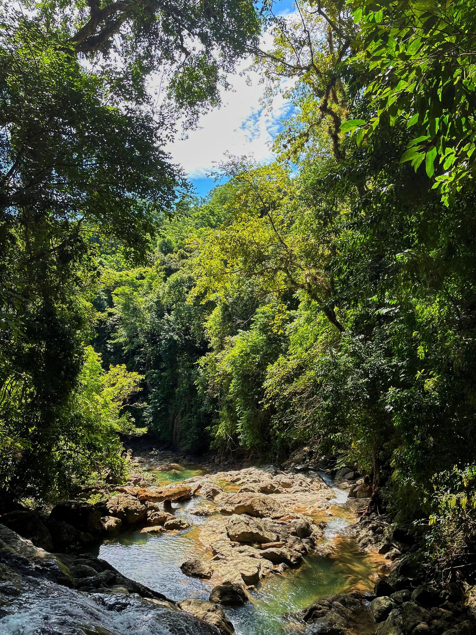 Costa Rica real estate | Ecological & Sustainable | La Ecovilla