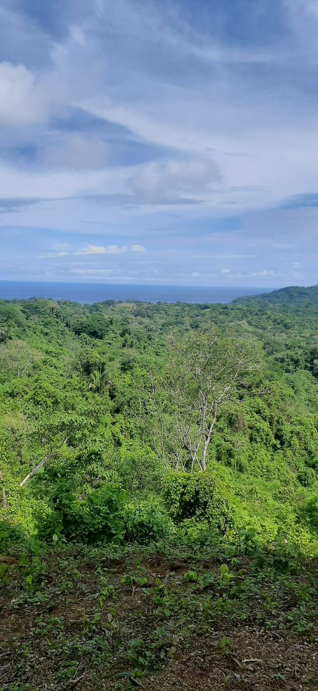 Costa Rica real estate | Ecological & Sustainable | | La Ecovilla