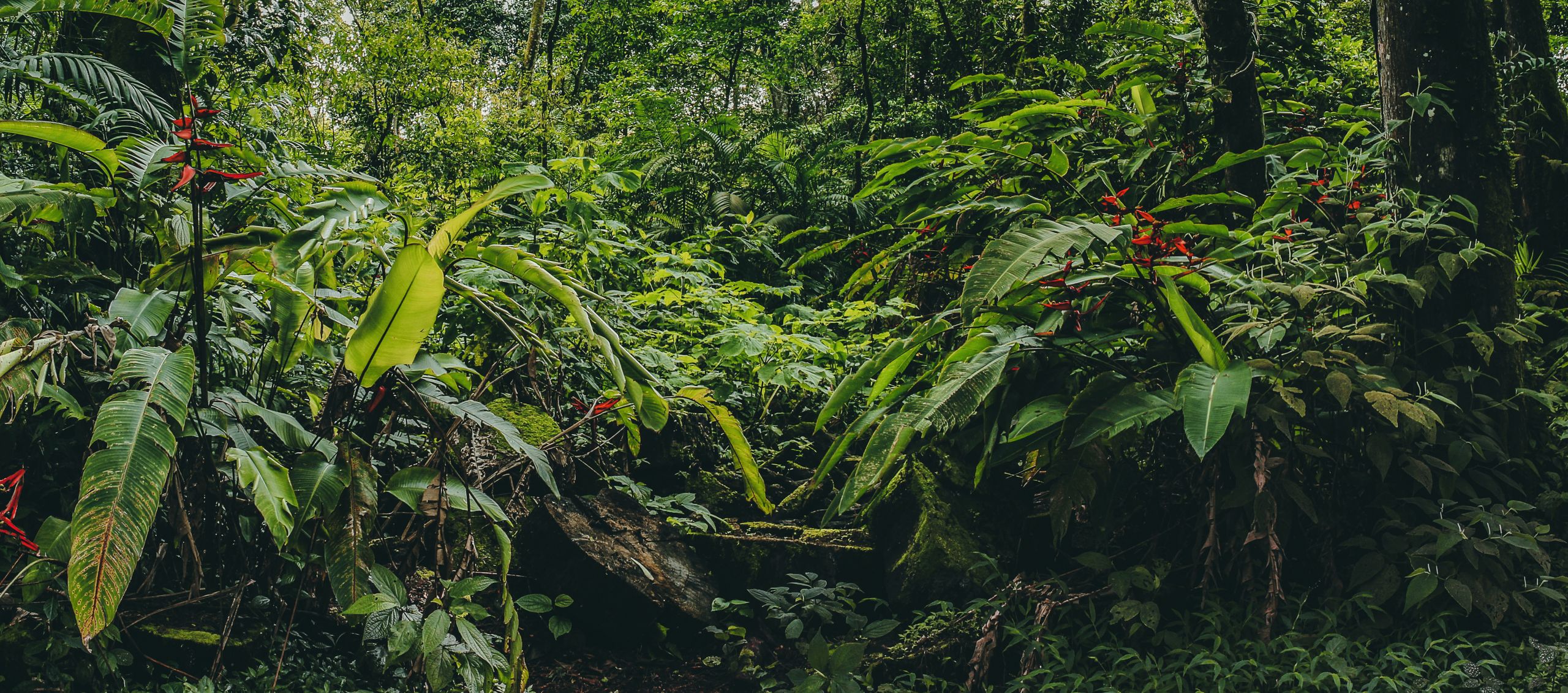 Costa Rica real estate | Ecological & Sustainable | La Ecovilla