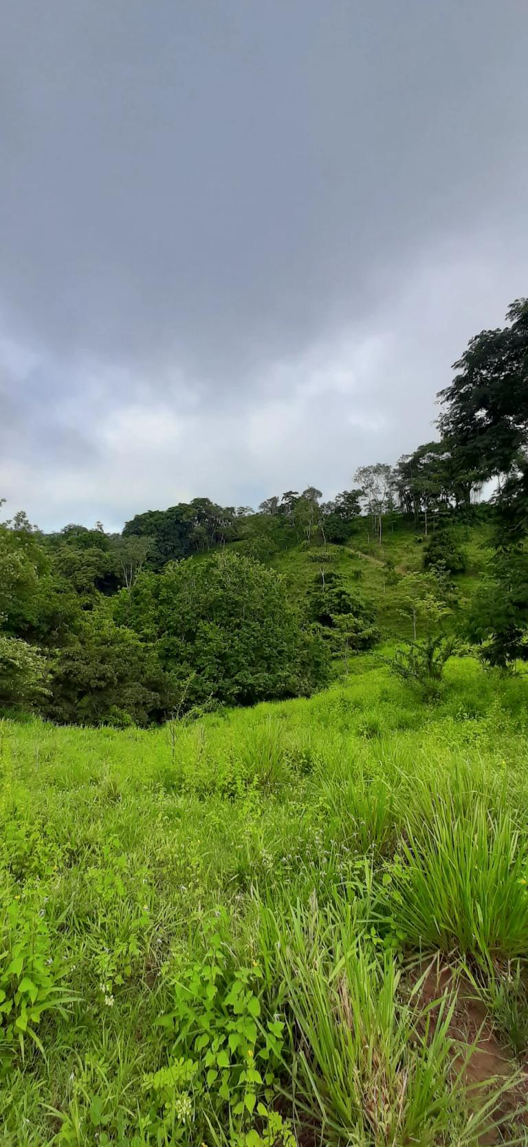 Costa Rica real estate | Ecological & Sustainable | La Ecovilla