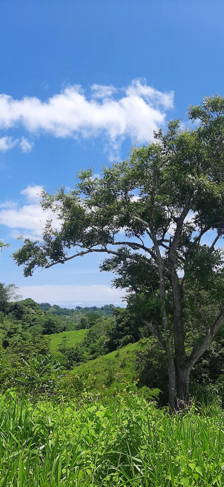 Costa Rica real estate | Ecological & Sustainable | | La Ecovilla