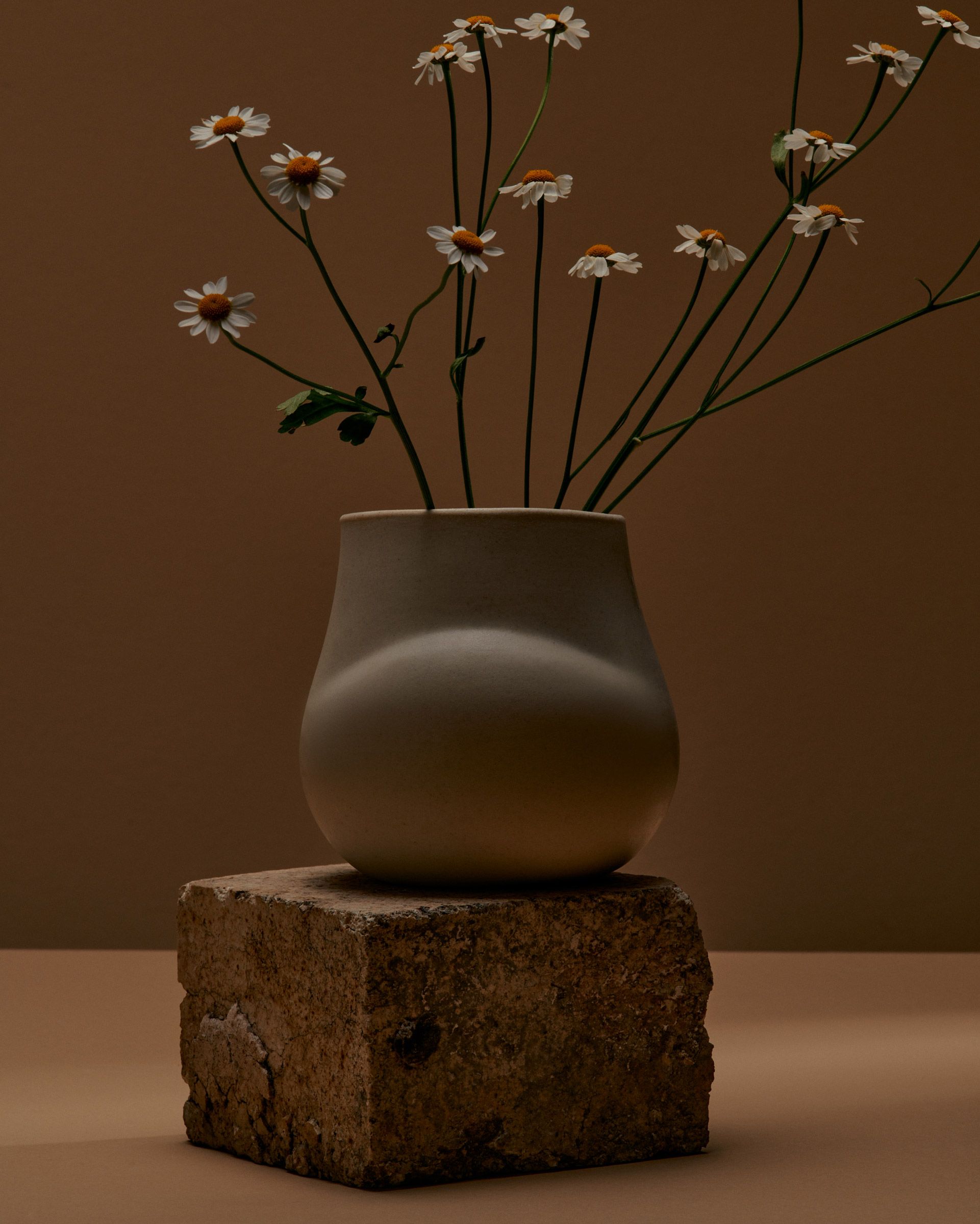 Famiglia | JON NETTI