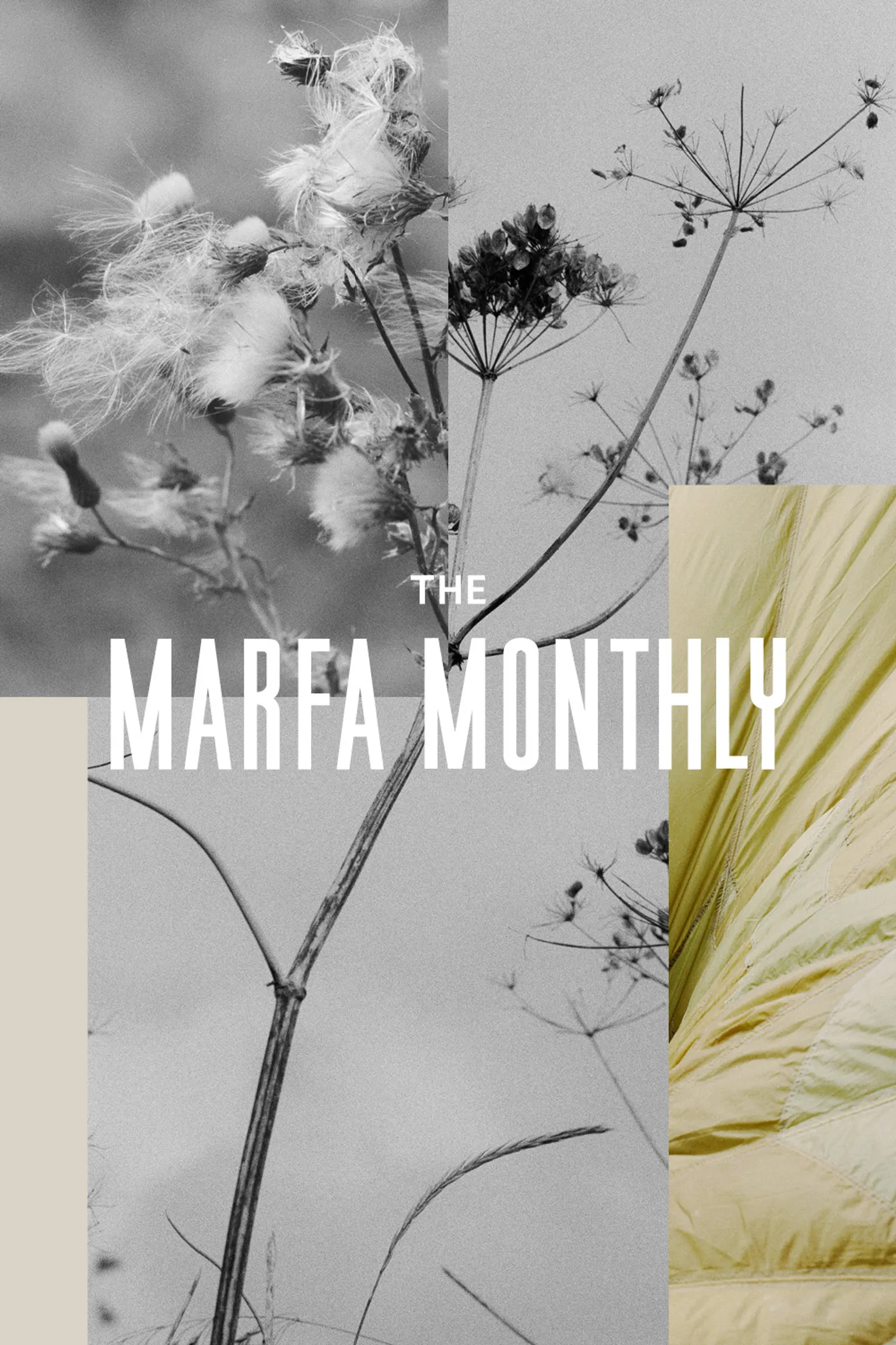 Marfa Monthly | News & Happenings | MARFA STANCE | MARFA STANCE