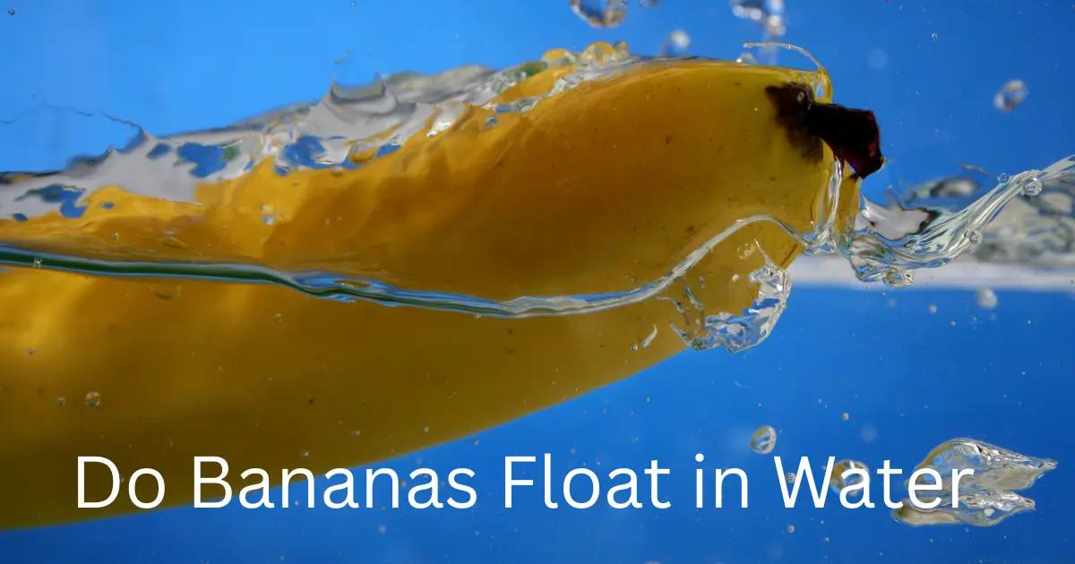 Do Bananas Float in Water? Banana Buoyancy Explained | pH of Banana
