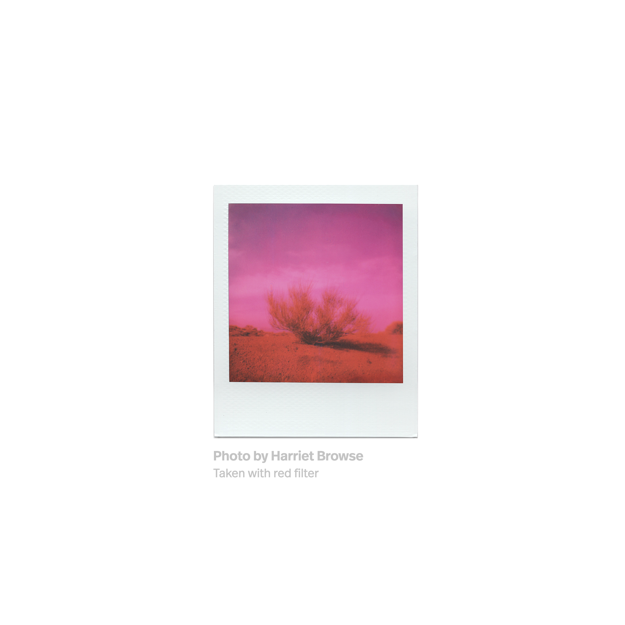 New: Polaroid Go Instant Camera Color Filters