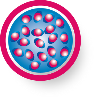 Micropore Technologies - Home page