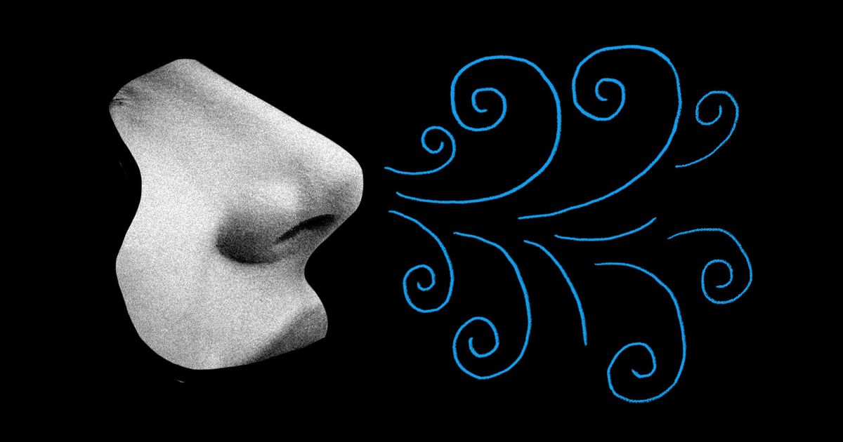 Stress Has Made Us Shallow Breathers. Here’s What It Does To Our Bodies ...