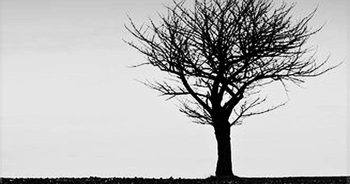 The Case for Viewing Mental Health Through an Existential Lens | The ...