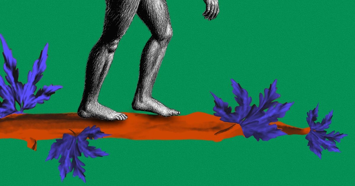 Human Bipedalism May Have Begun in Trees, New Study Suggests | The Swaddle