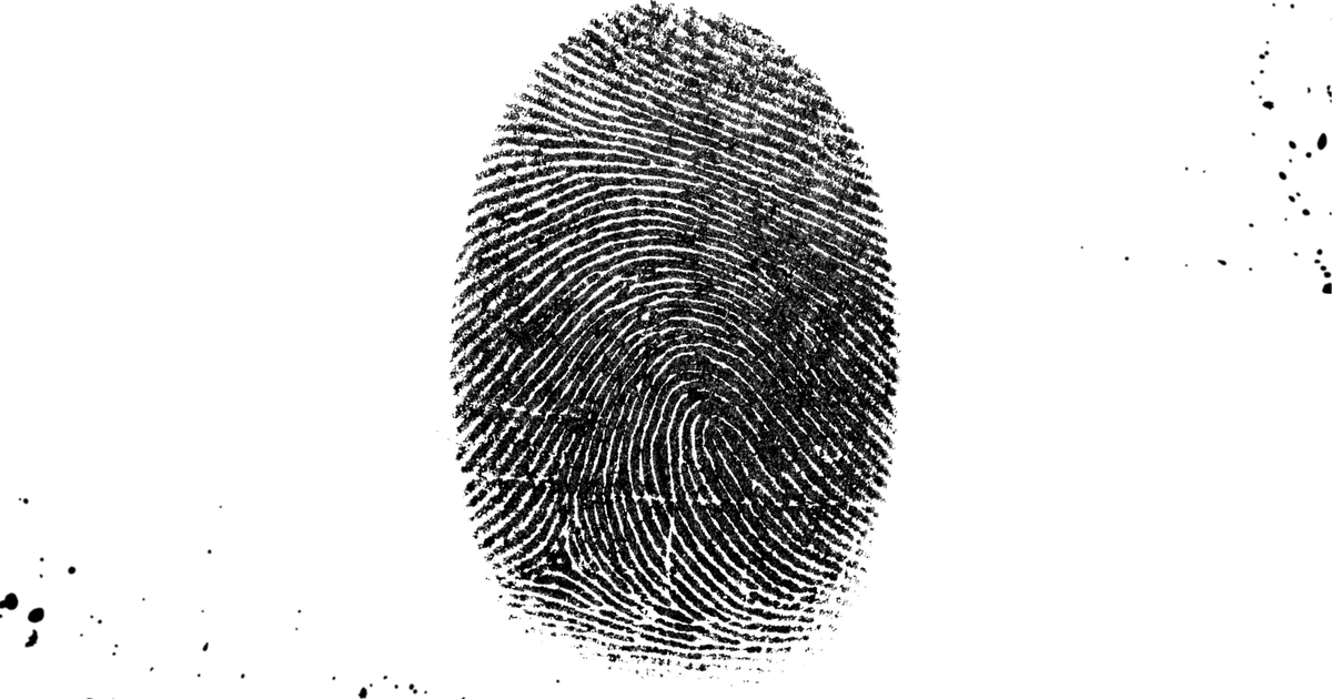 fingerprints bbc