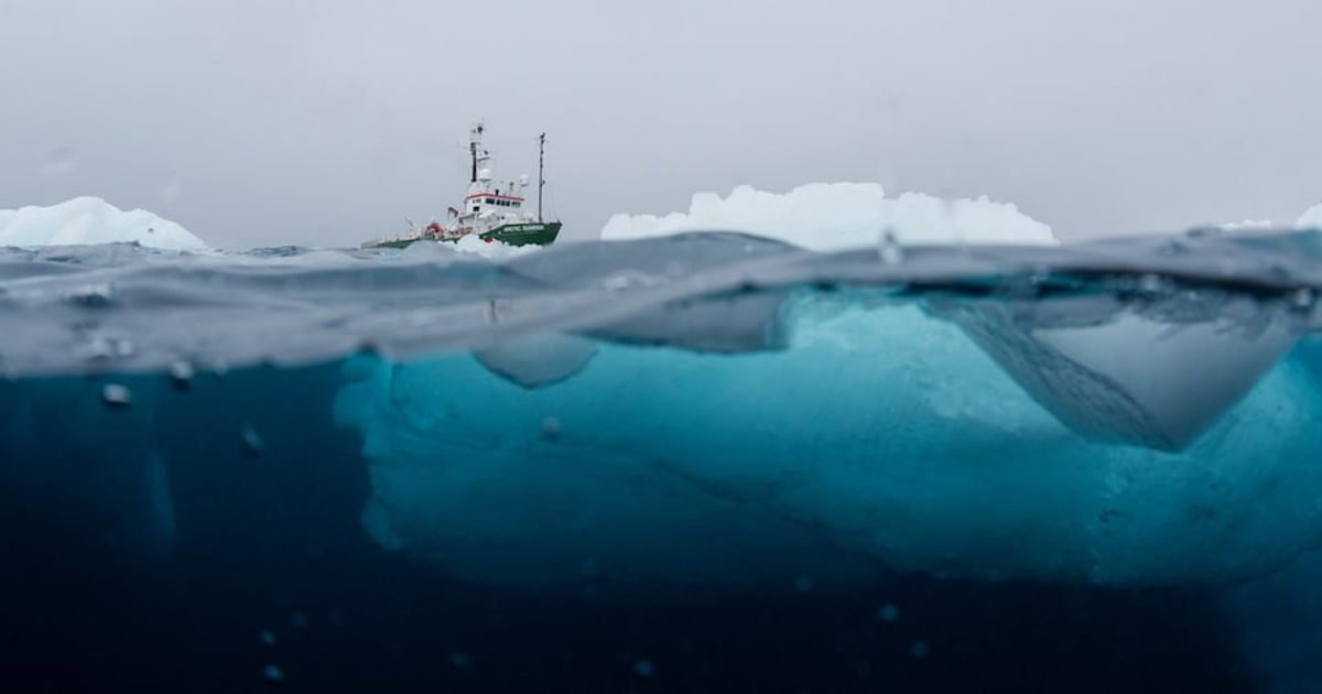 The Arctic Ocean Has Chlamydia | The Swaddle